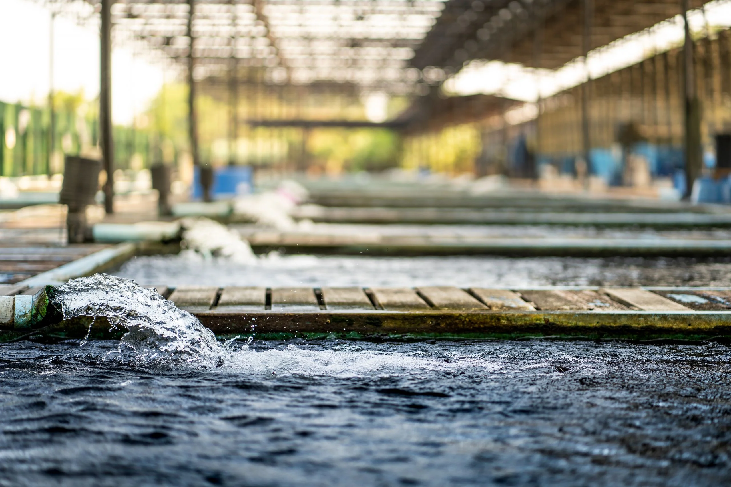 Sustainability – ACI Packaging